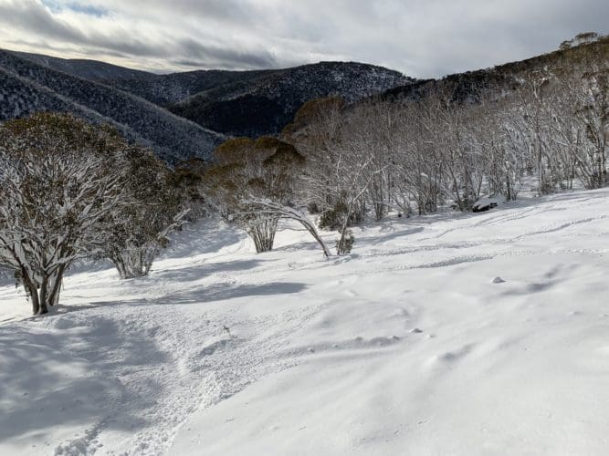 Mount Hotham Ski Resort - Everything You Need to Know.